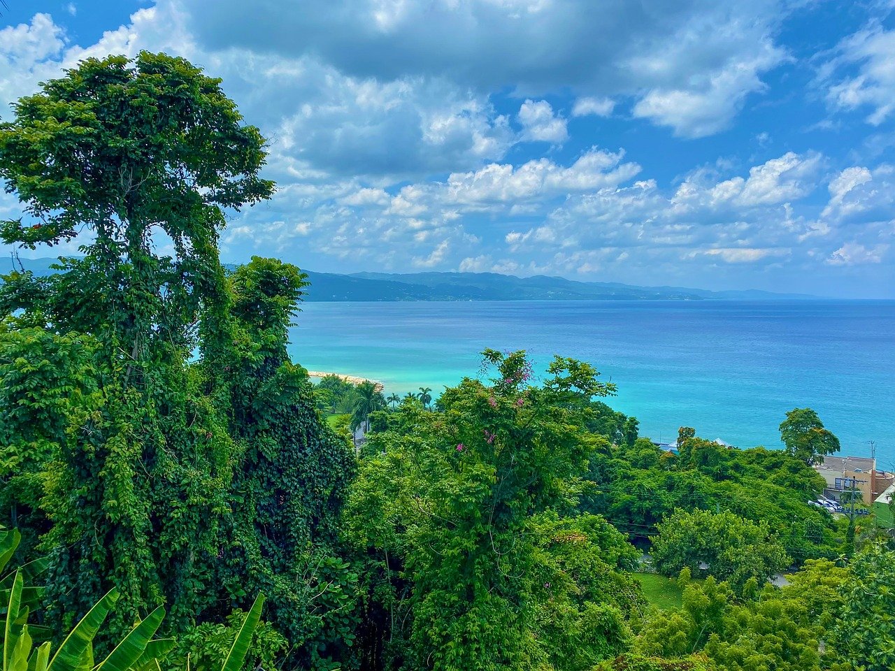 Montego Bay rejseguide - Seværdigheder, historie, natur med mere